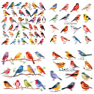 Bird Clipart Digital Stickers, Digital Clipart, Printable Stickers ...