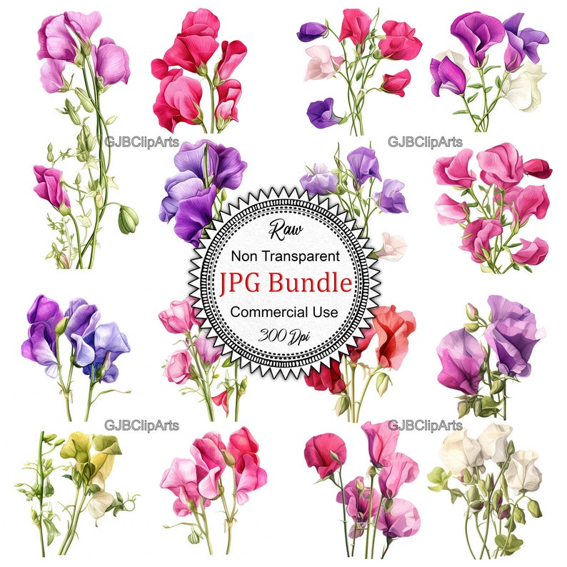 Sweet Pea Flower Clipart, Journaling Templates Digital, Journaling ...