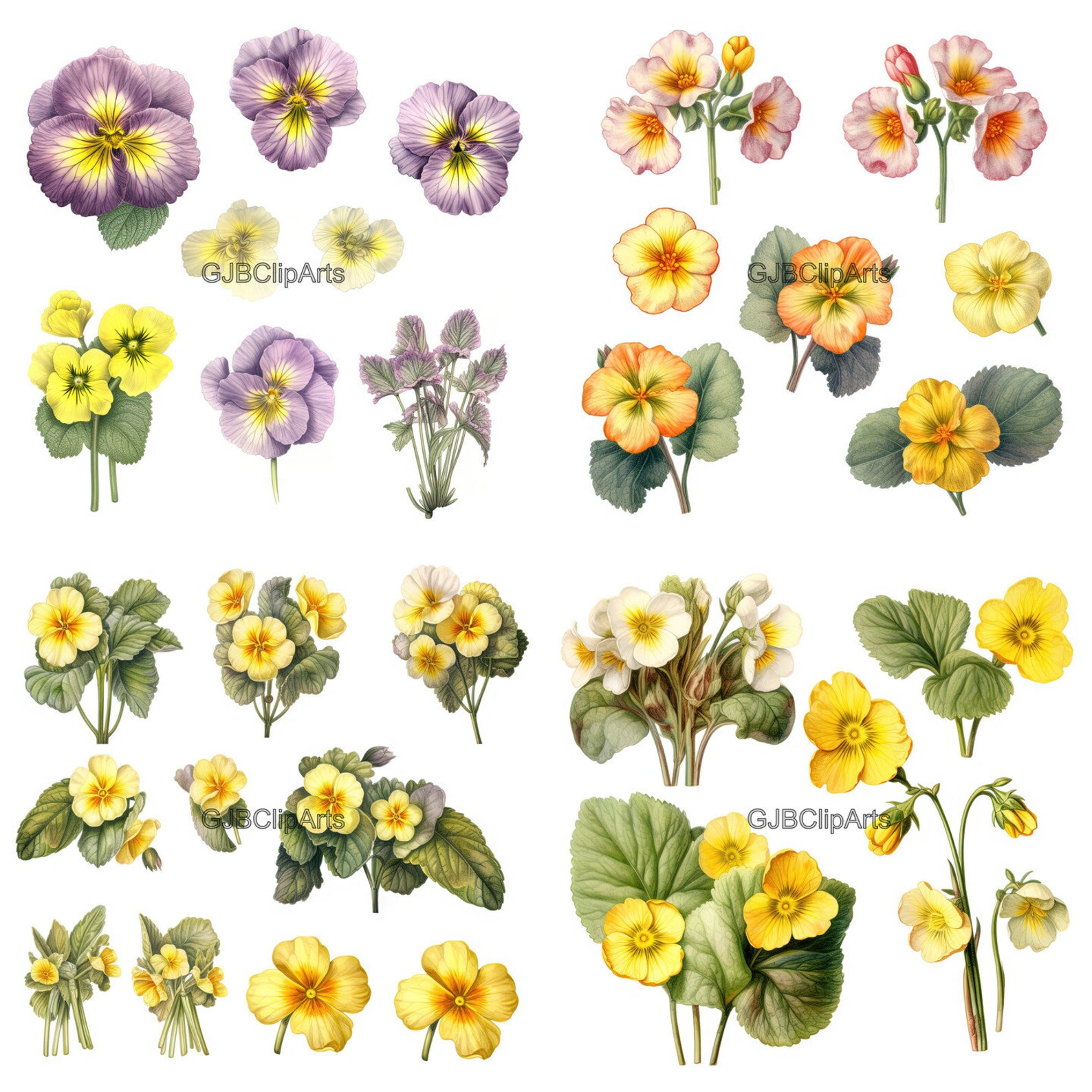 Primrose Flower Clipart, , Journaling Prompts, Journaling Workbook ...
