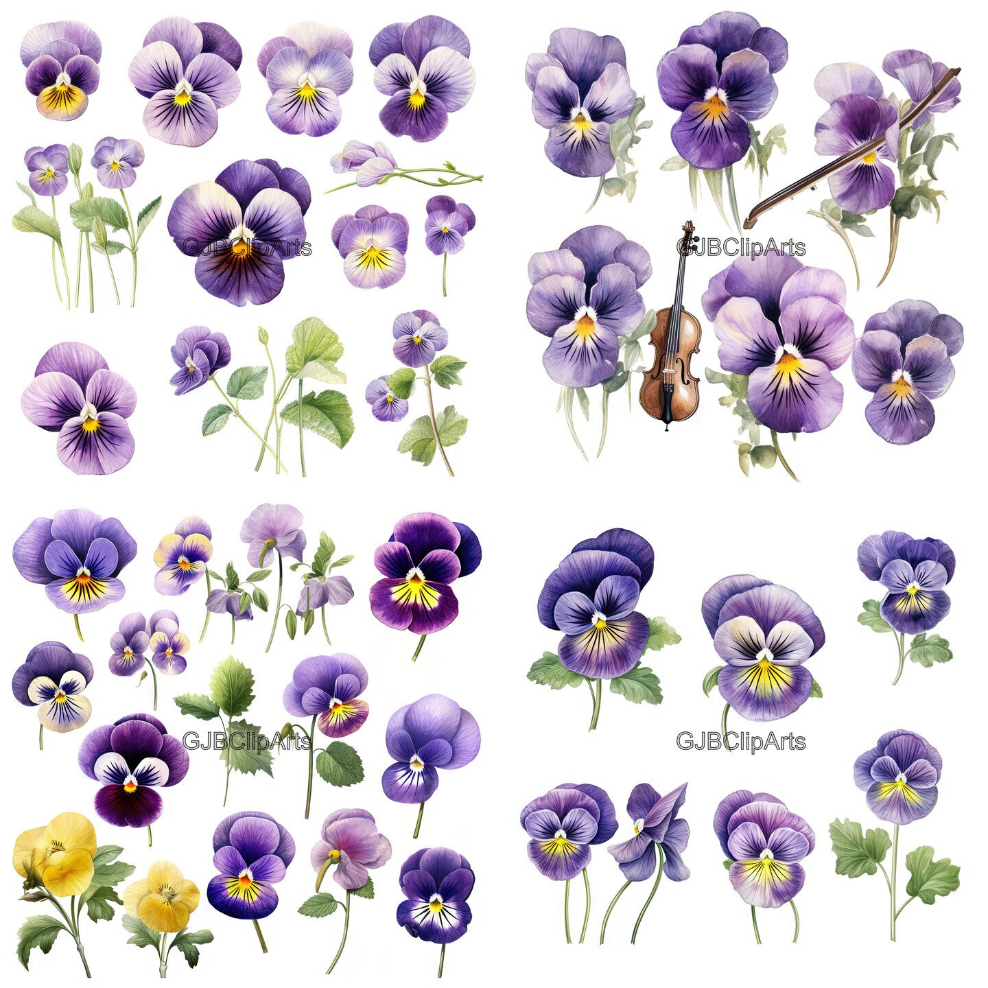 Viola Flower Clipart Journaling Tracker Scrapbooks Wedding - Etsy