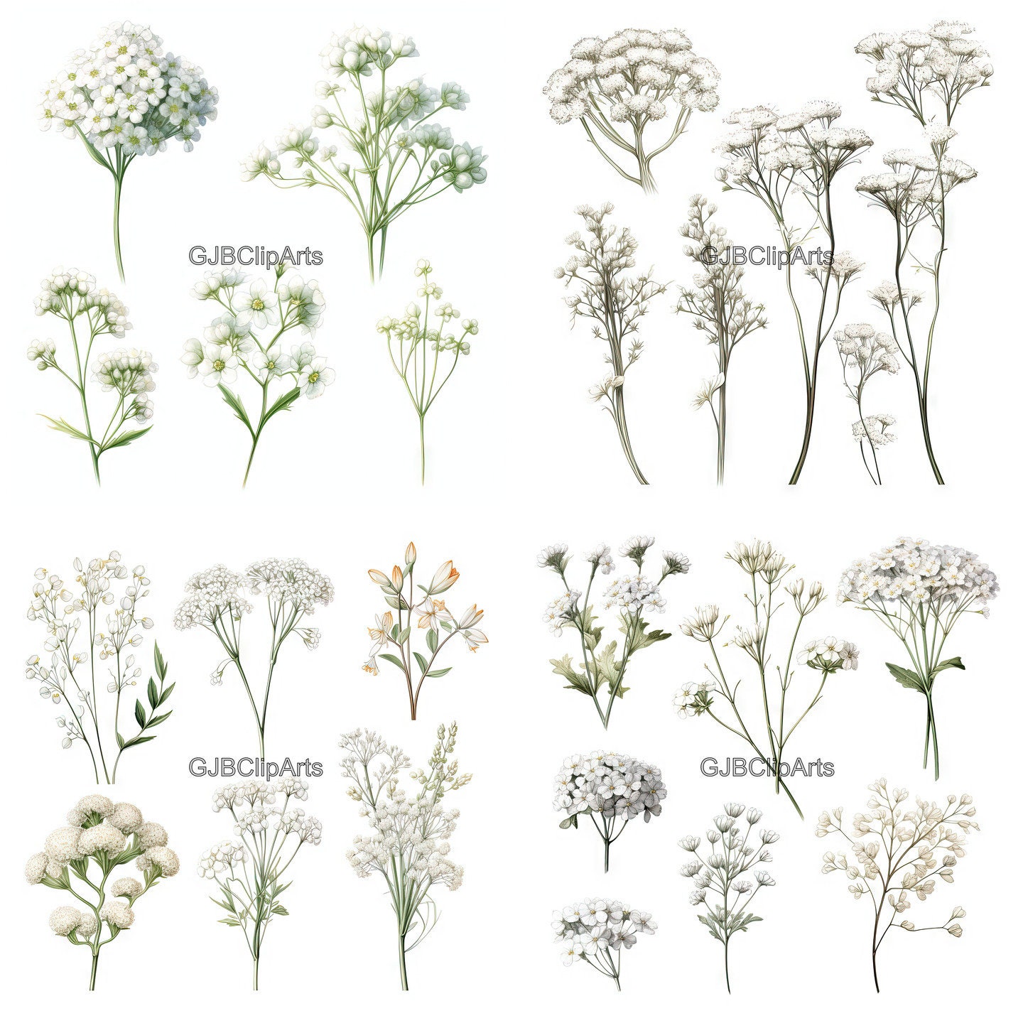 Baby's Breath Clipart Digital Stickers, Digital Clipart, Printable ...