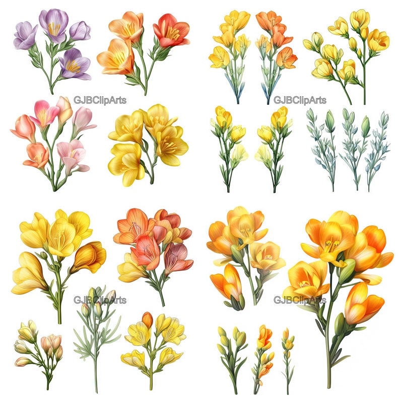 Freesia Clipart Digital Stickers, Digital Clipart, Printable Stickers ...