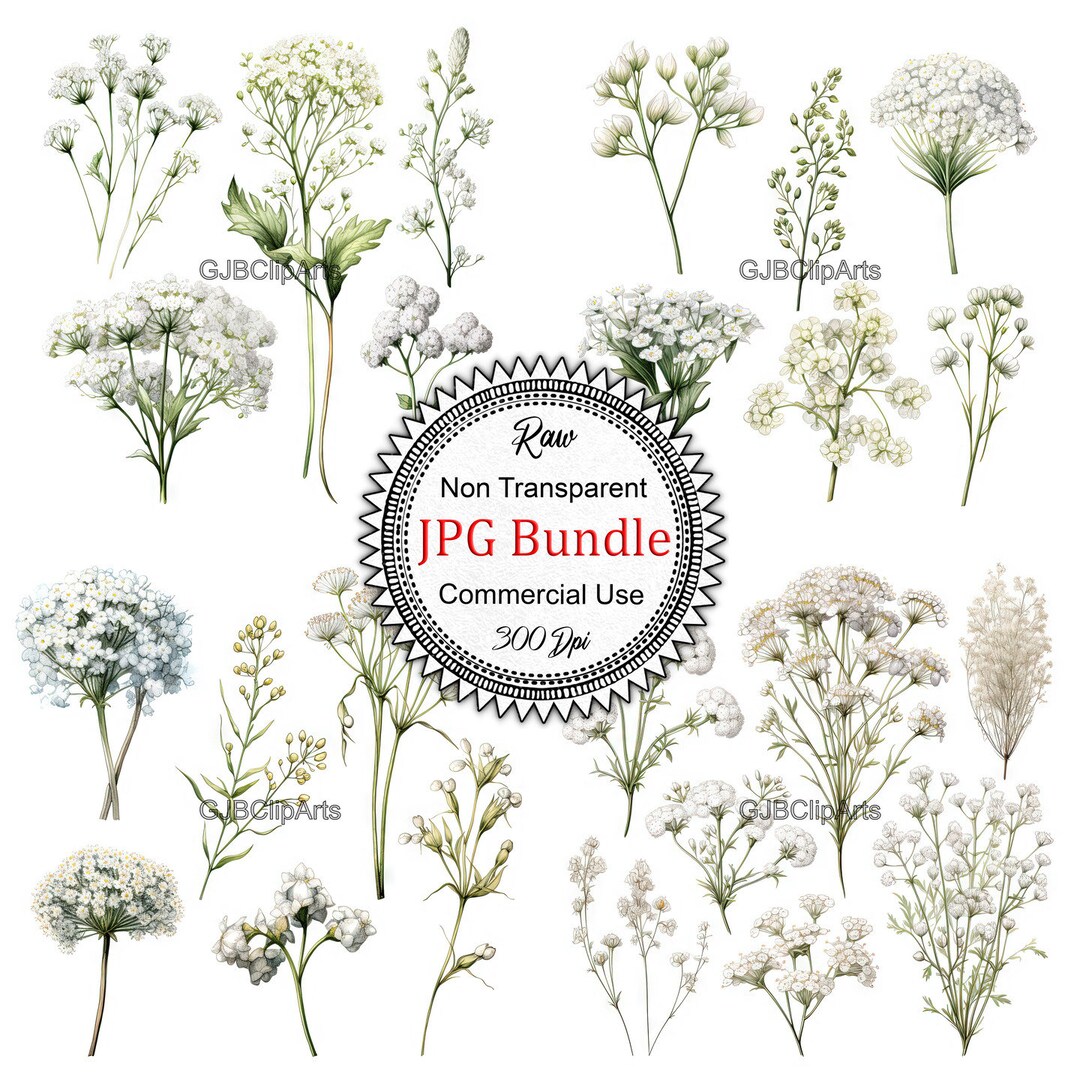 Baby's Breath Clipart Digital Stickers, Digital Clipart, Printable ...
