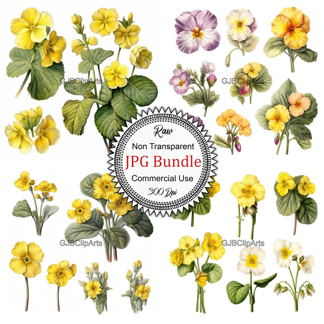 Primrose Flower Clipart, , Journaling Prompts, Journaling Workbook ...