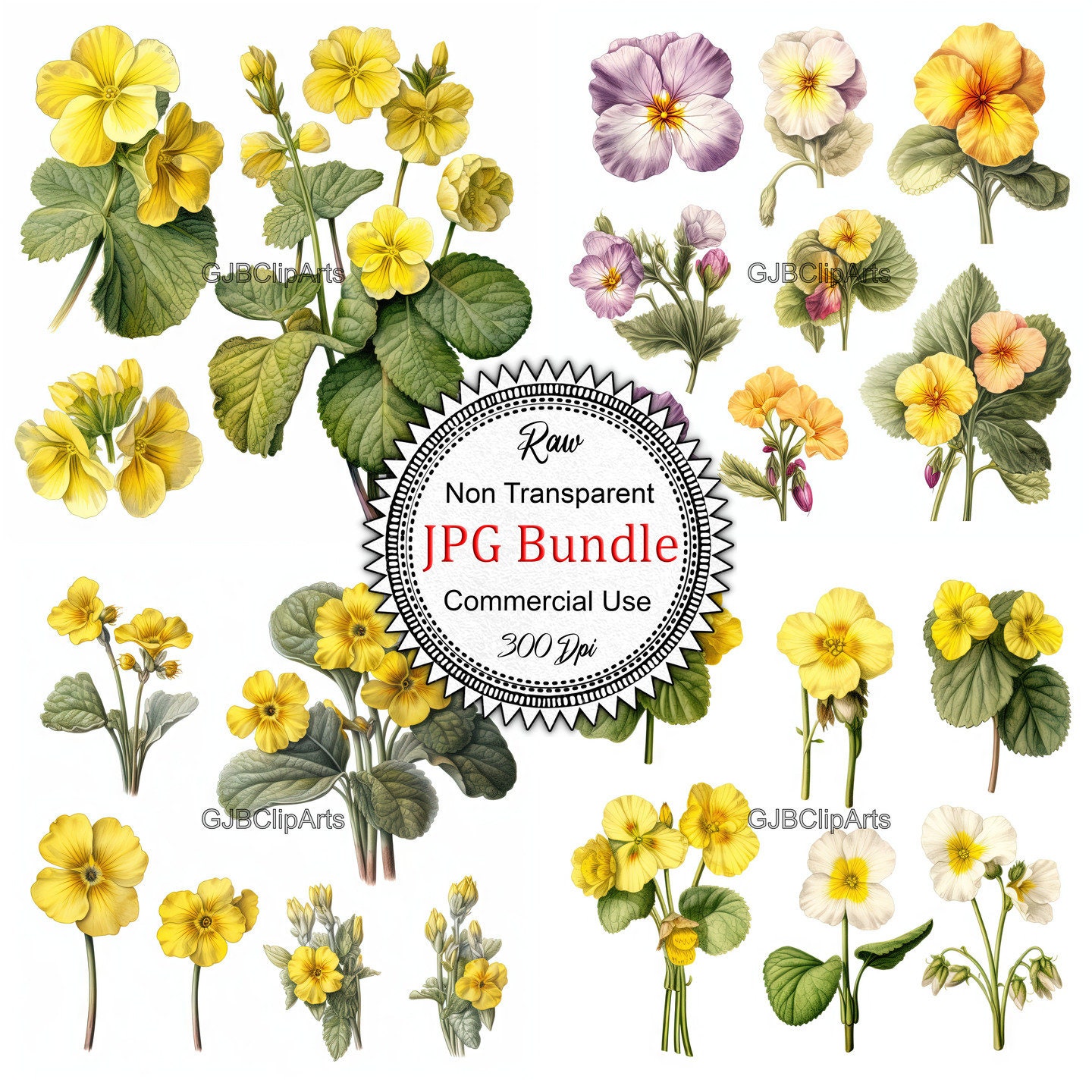 Primrose Flower Clipart, , Journaling Prompts, Journaling Workbook ...