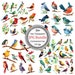 Bird Clipart Digital Stickers, Digital Clipart, Printable Stickers ...