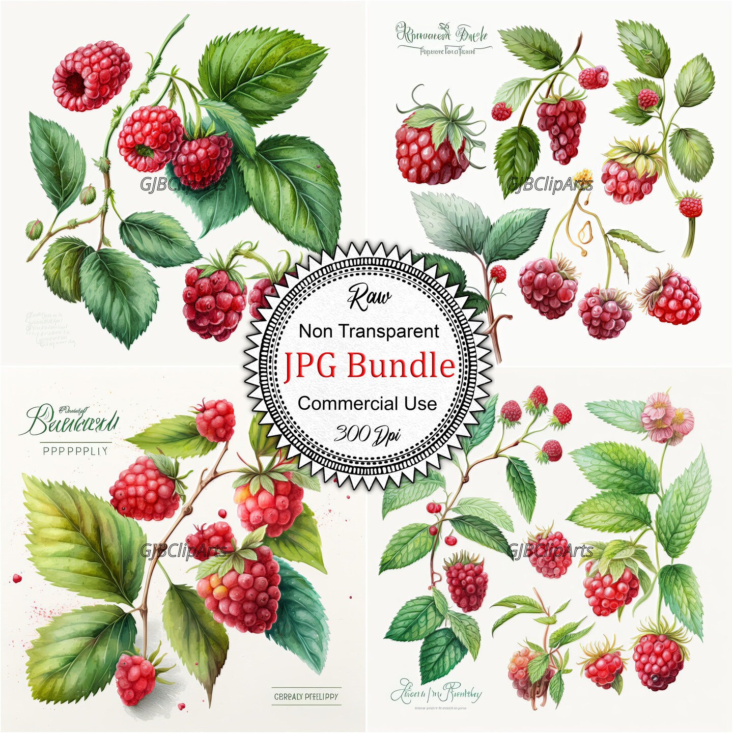 Infographic Tutorial Illustrator Beginner Projects For Raspberry