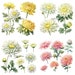 Buttercup Clipart Digital Stickers, Digital Clipart, Printable Stickers ...