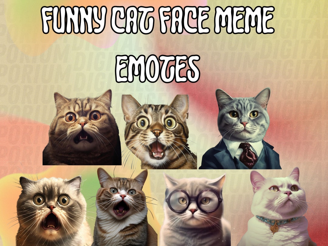 Funny Cat Faces Meme Emote Collection Twitch & Discord | Channel Points ...
