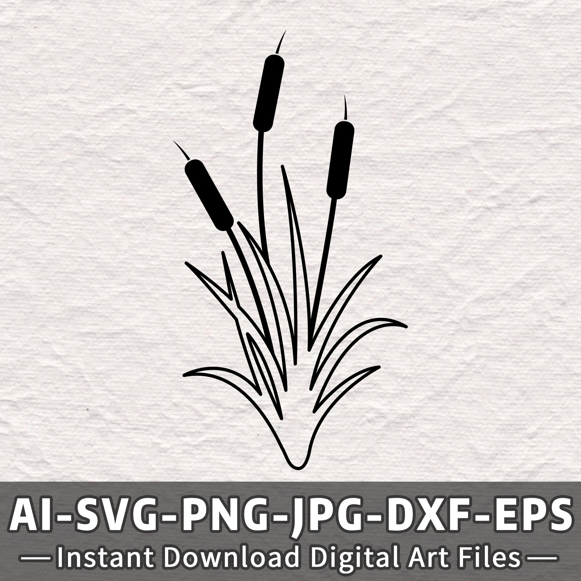 Cattail，plant -ai,svg,png,jpg,dxf,eps Files Included，instant Digital ...