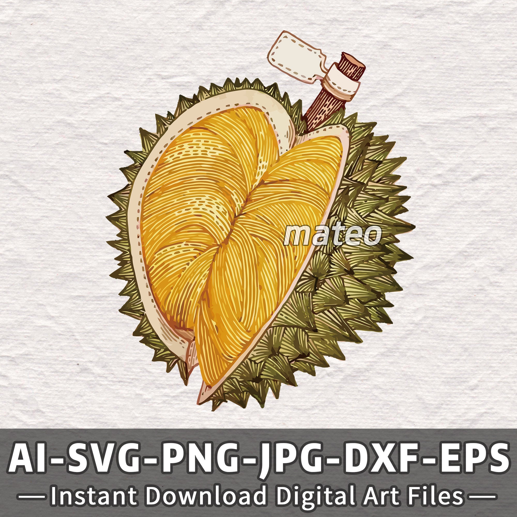 Durian Fruit Drawing