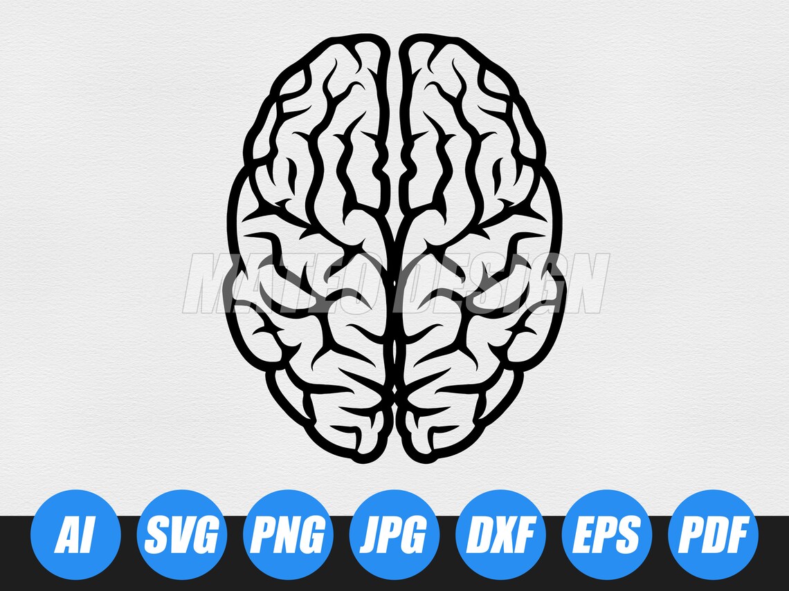 Brain SVG File Brians Vector Images Clipart Human Brain SVG Cut Image ...