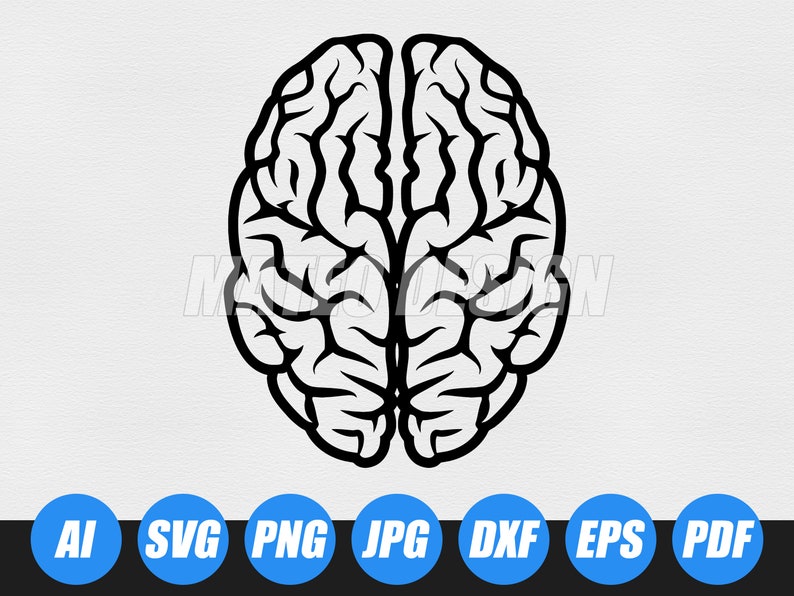 Brain SVG File Brians Vector Images Clipart Human Brain SVG Cut Image ...