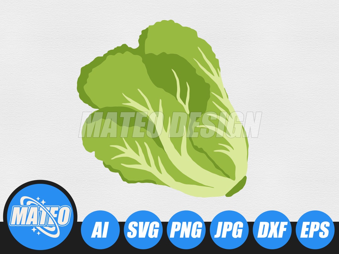 Lettuce Stick Figure, Hand Drawn Vegetables, Kids Illustration, Plants ...