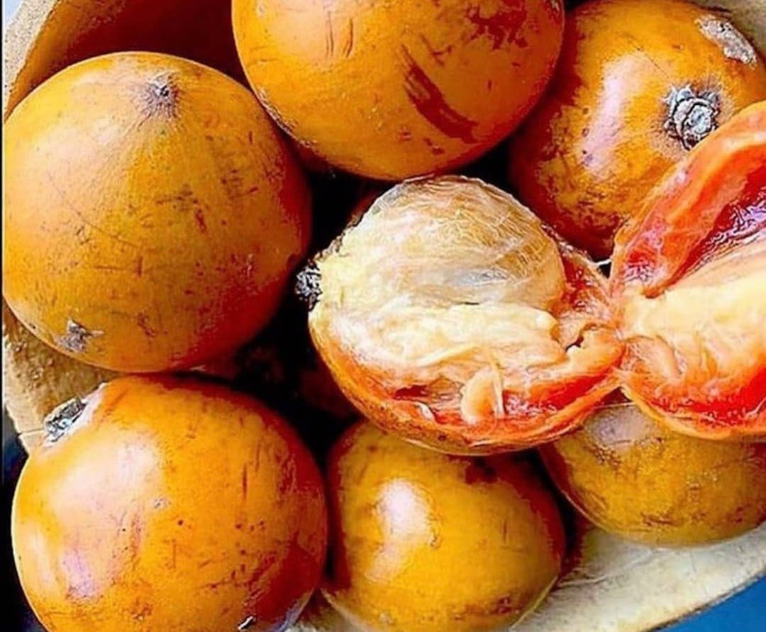 Agbalumo Ajashe - Etsy