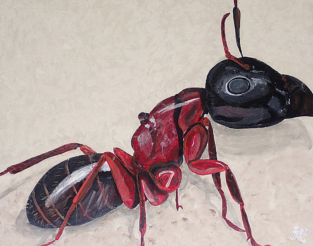 Flo: Carpenter Ant Painting - Etsy