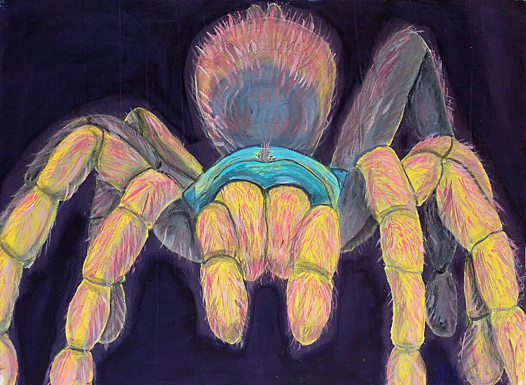 Lily: Tarantula Painting - Etsy