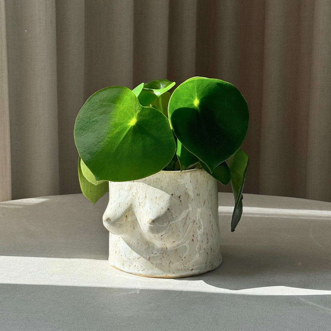 Handmade Boobie Pot, Bust Planter, Pot-tita Houseplant Pot, Indoor ...