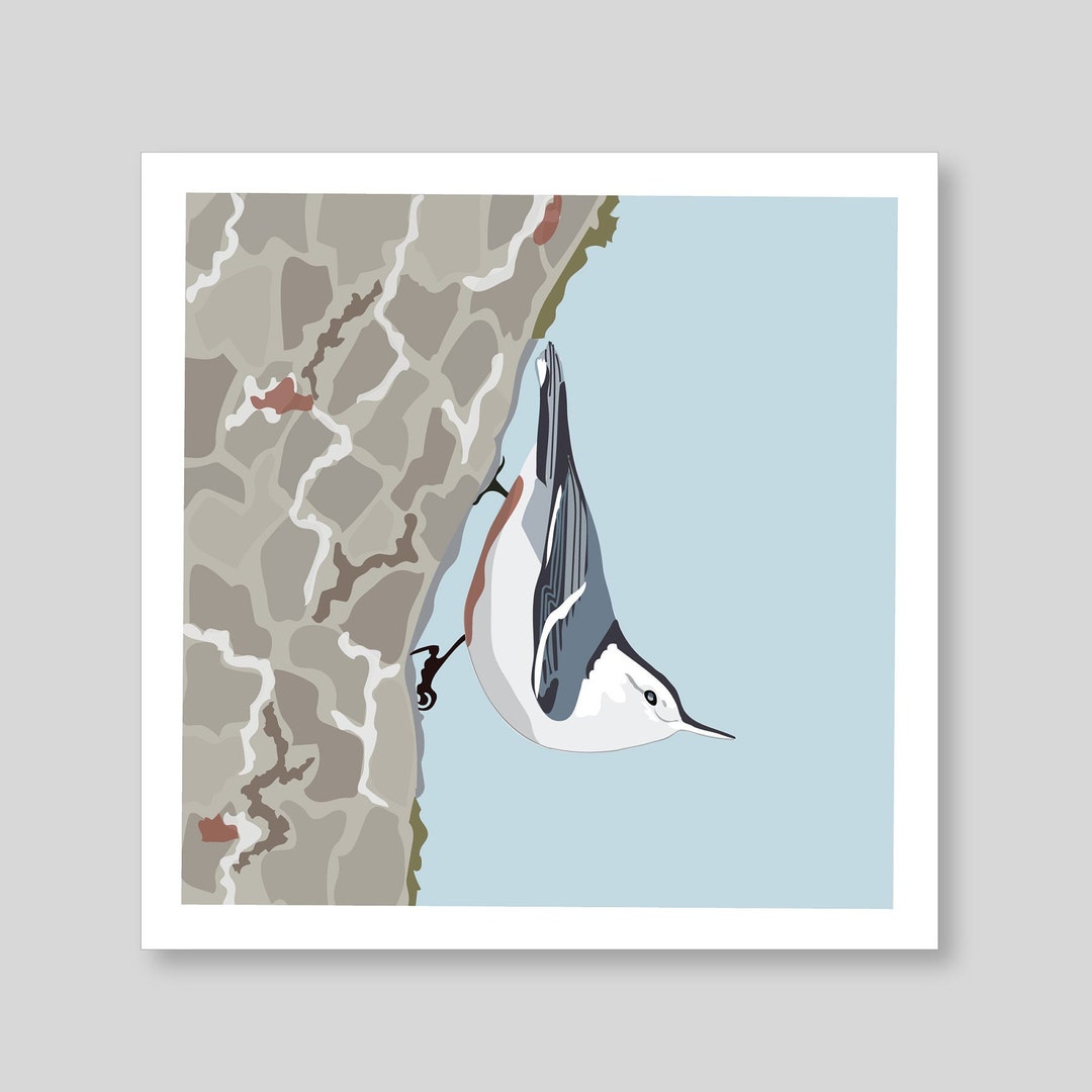 Printable Nuthatch Card - Etsy