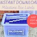 Editable Milestone Tote Labels Memory Box Labels Download Kids File Box ...