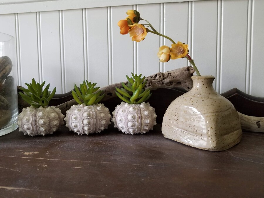 PickledPomegranate - Etsy