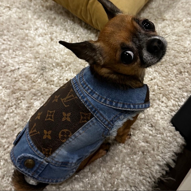 Designer Dog Clothes - Etsy
