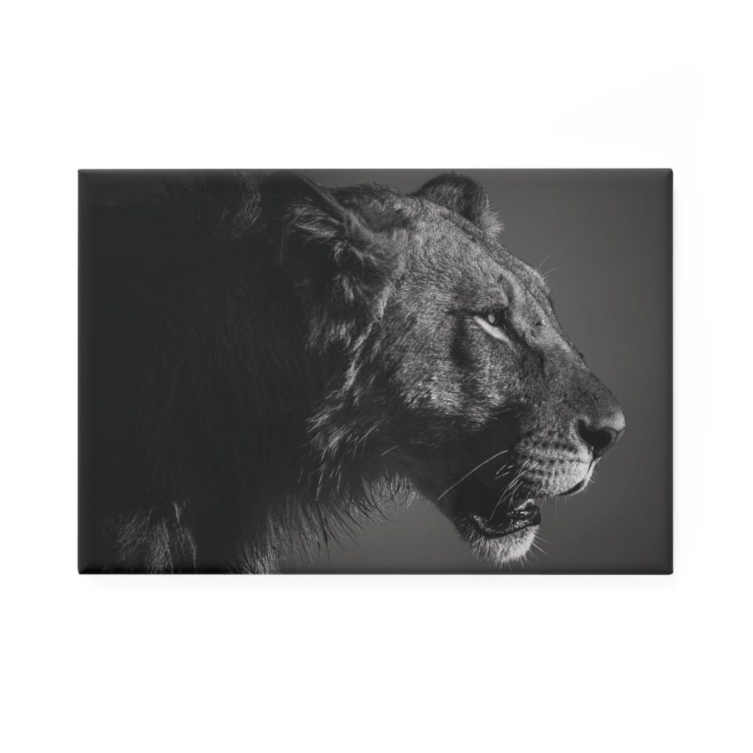 Magnet, Lion Photo, Kruger National Park, Black and White, Button ...