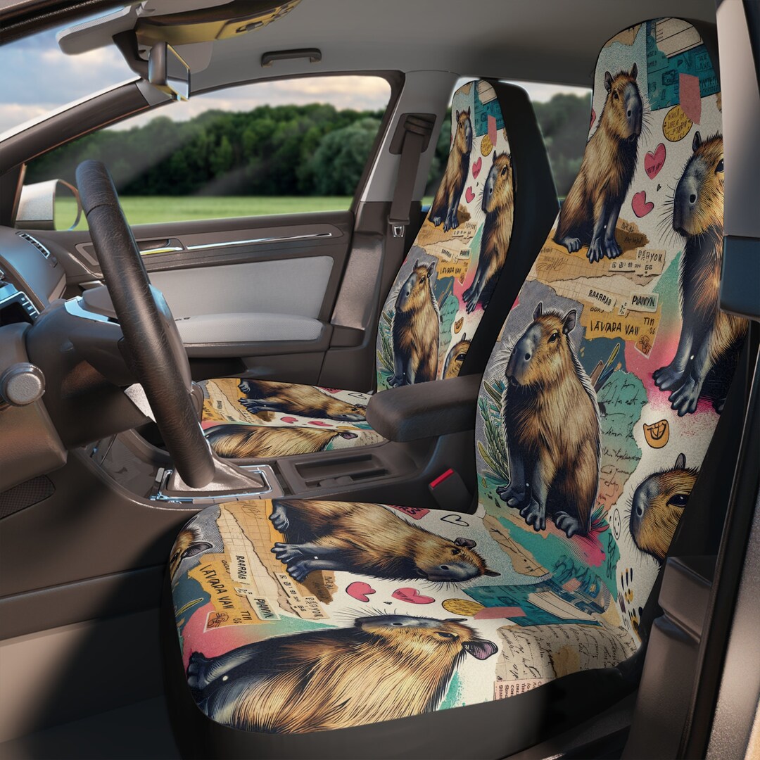 Capybara Collage Car Seat Covers - Etsy