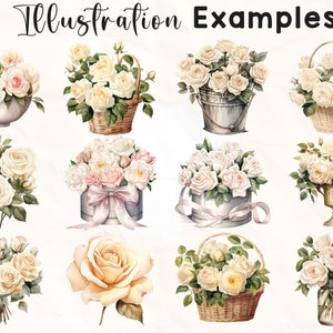319 Cream Roses Clipart Bundle, Watercolor Floral Clipart, Rose Clipart ...