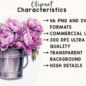 377 Purple Peonies Clipart Bundle, Watercolor Floral Clipart, Peony ...