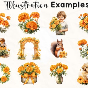 349 Marigolds Clipart Bundle, Watercolor Floral Clipart, Marigold ...