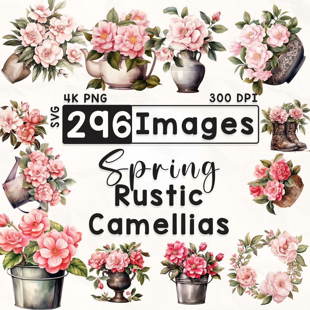 296 Rustic Camellias Clipart Bundle, Watercolor Floral Clipart ...