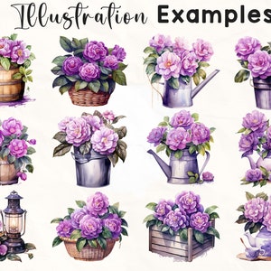 301 Purple Camellias Clipart Bundle, Watercolor Floral Clipart ...