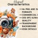 56 Autumn Boho Camera Watercolor Clipart Fall Clipart - Etsy