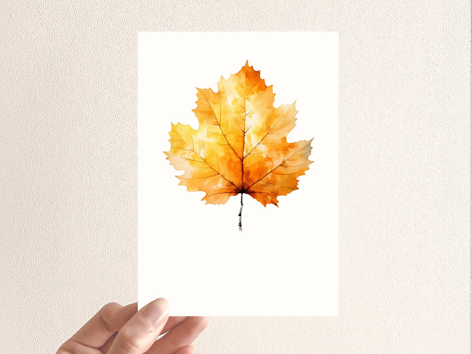 66 Autumn Leaf Clipart, Watercolor Clipart, Fall Season, Scrapbook ...