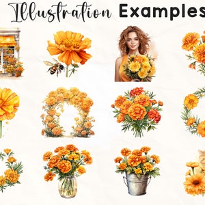 349 Marigolds Clipart Bundle, Watercolor Floral Clipart, Marigold ...