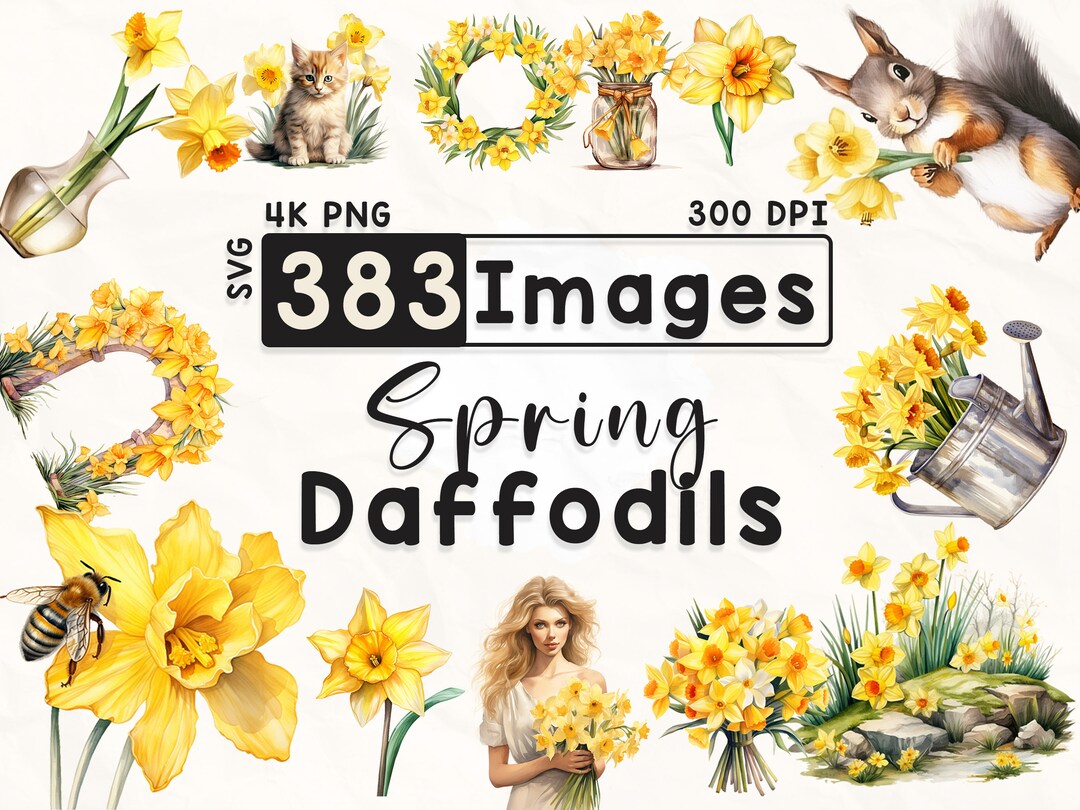 383 Daffodils Clipart Bundle, Watercolor Floral Clipart, Daffodil ...