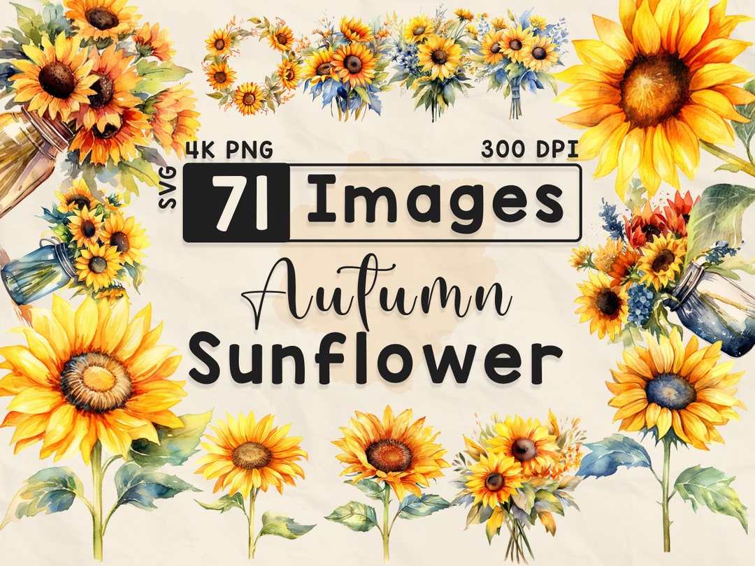 71 Autumn Sunflower Clipart Watercolor Clipart Fall Season - Etsy