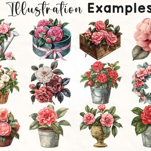 304 Vintage Camellias Clipart Bundle, Watercolor Floral Clipart ...