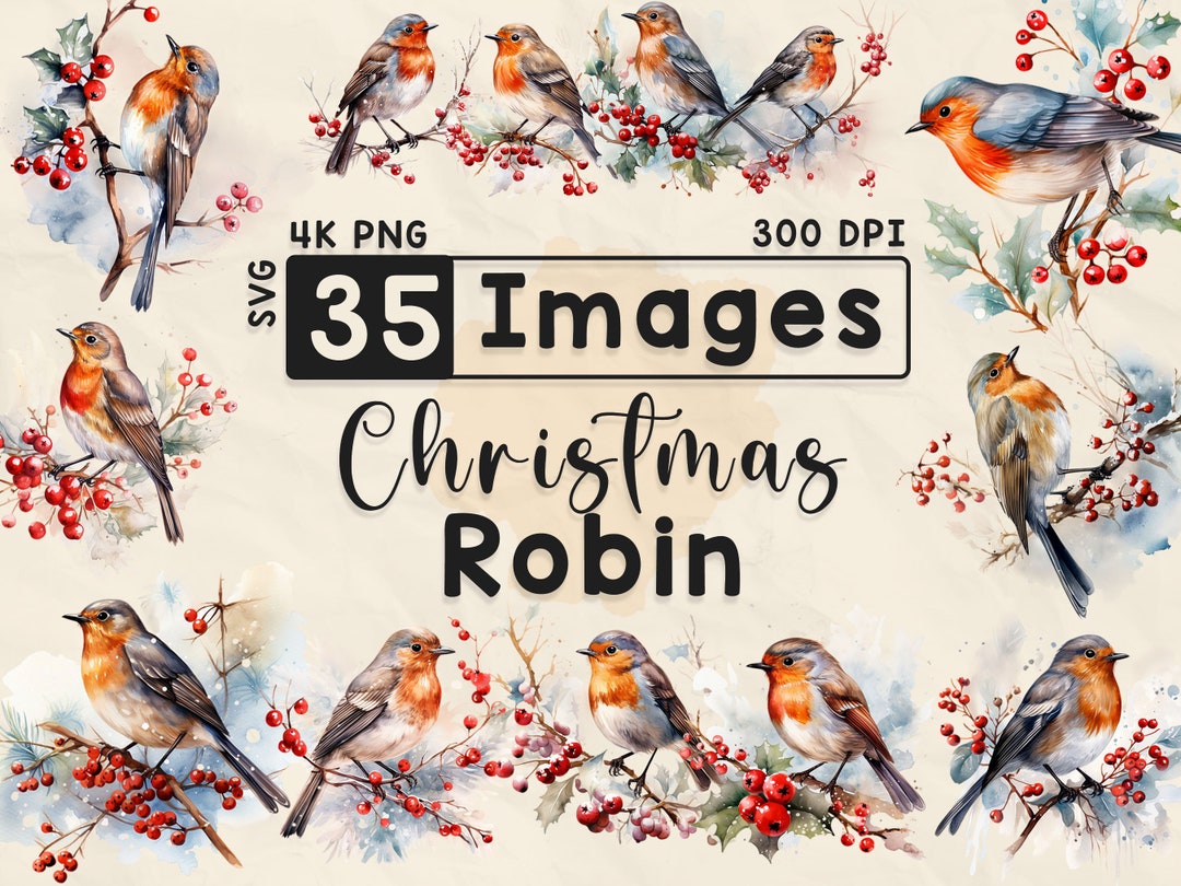 Christmas Robin Clipart, Watercolor Clipart, Christmas PNG, Holiday ...