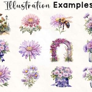 355 Asters Clipart Bundle, Watercolor Floral Clipart, Aster Clipart ...