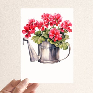 352 Geraniums Clipart Bundle, Watercolor Floral Clipart, Geranium ...