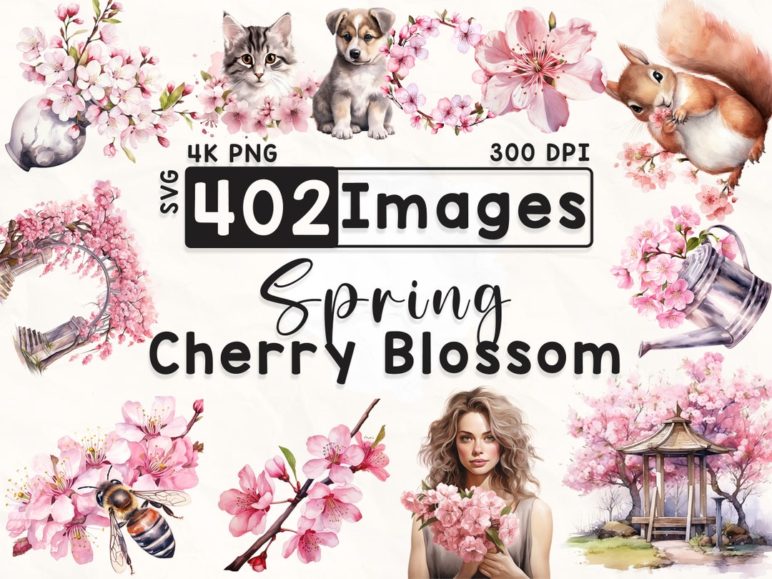 402 Cherry Blossoms Clipart Bundle, Watercolor Floral Clipart, Cherry ...