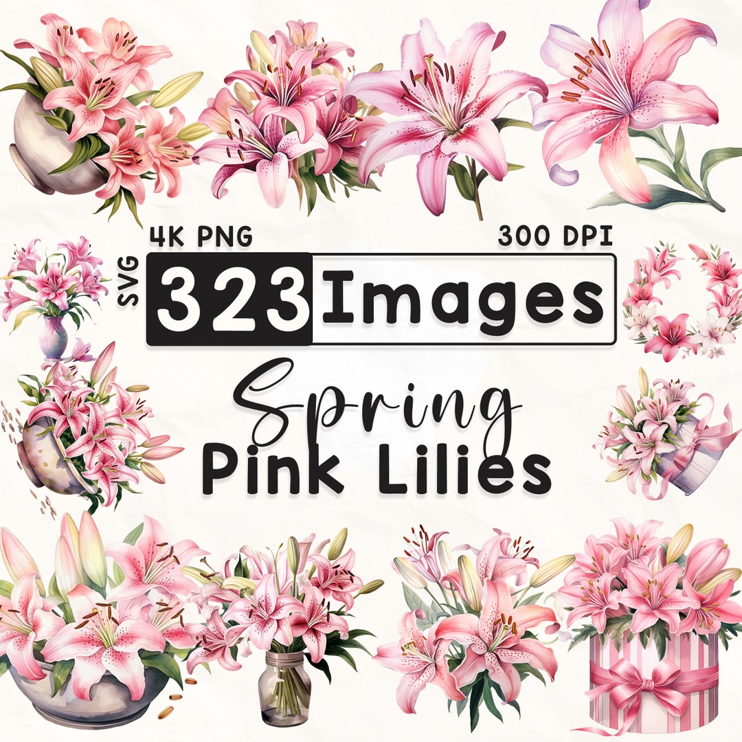 323 Pink Lilies Clipart Bundle, Watercolor Floral Clipart, Lily Clipart ...