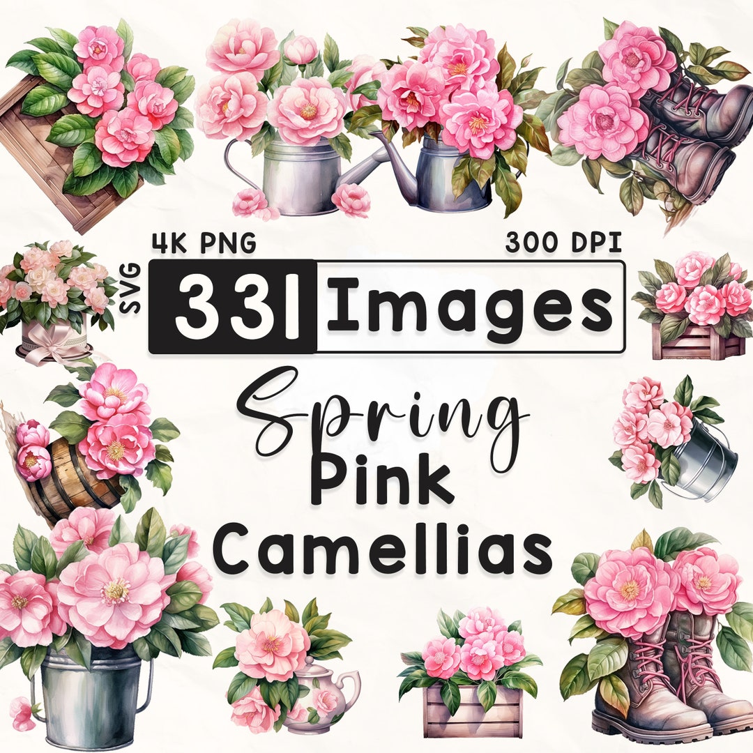 331 Pink Camellias Clipart Bundle, Watercolor Floral Clipart, Camellia ...
