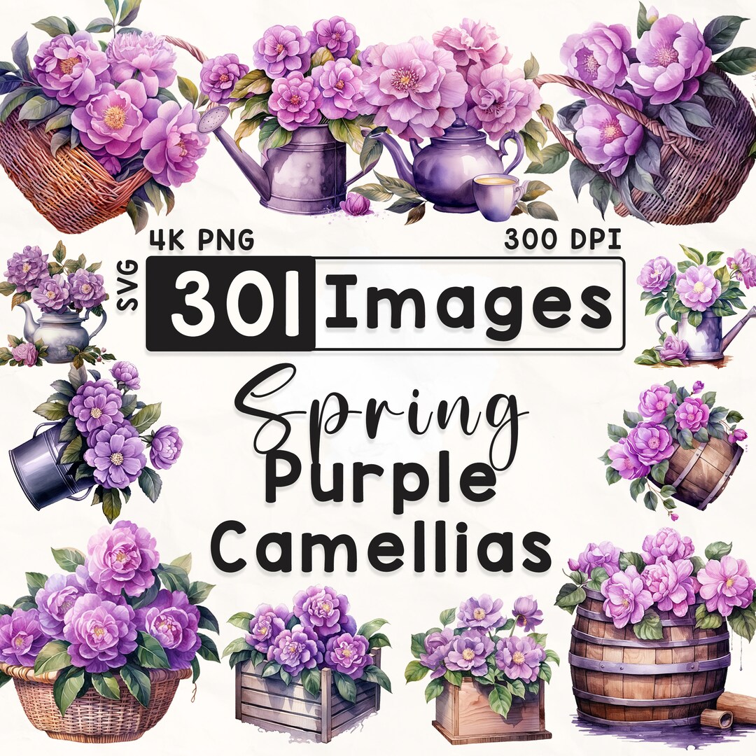 301 Purple Camellias Clipart Bundle, Watercolor Floral Clipart ...
