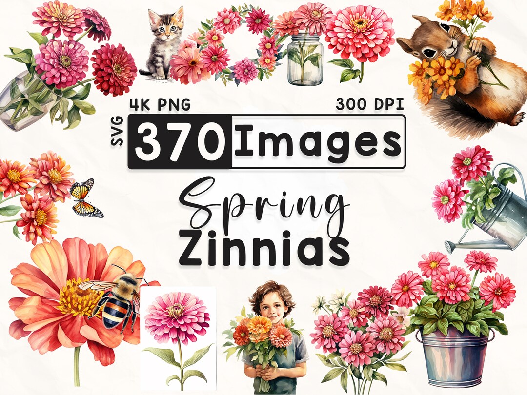 370 Zinnias Clipart Bundle, Watercolor Floral Clipart, Zinnia Clipart ...