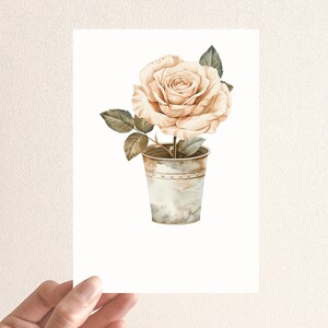 364 Beige Roses Clipart Bundle, Watercolor Floral Clipart, Rose Clipart ...