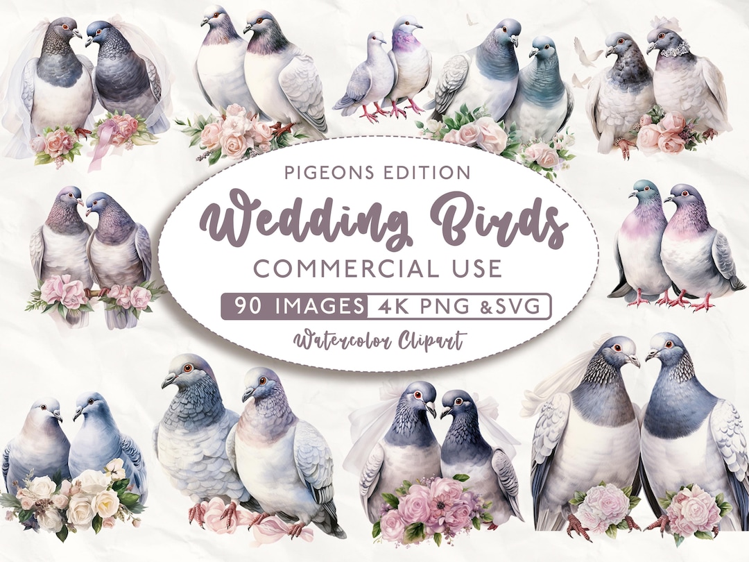 90 Wedding Pigeons Clipart Bundle, Pigeons Clipart, Commercial Use ...