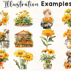 356 Calendulas Clipart Bundle, Watercolor Floral Clipart, Calendula ...